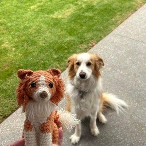 Crochet Pattern for Finnly, Realistic Crochet Border Collie Dog ...