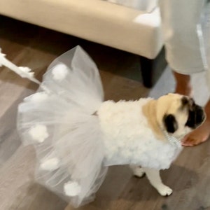 Star Spangled Girl Dog Harness Dress Xxsmall to 4xlarge Dog | Etsy