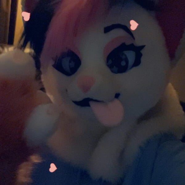 17 Colorsfursuit Furry Cat Paws With Claw, Fursuit Cat Gloves, Cosplay ...