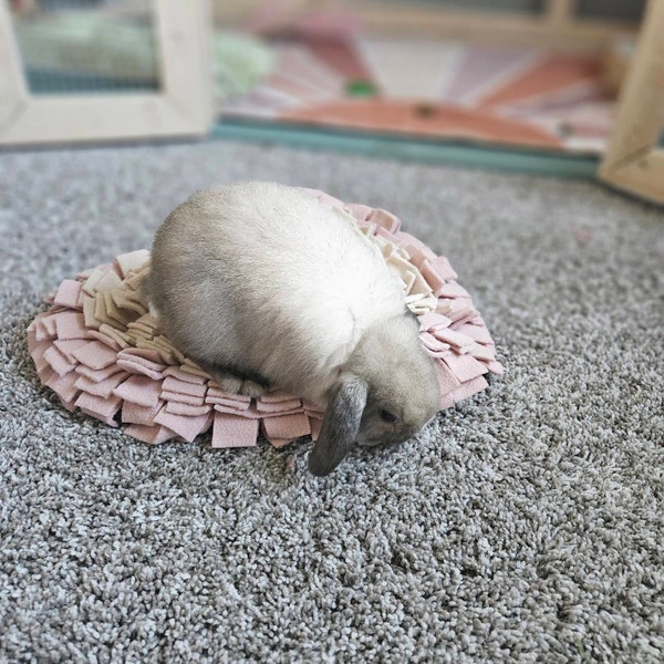 Original Heart Forager Snuffle Mat & Aesthetic Fleece Slow Feeder ...