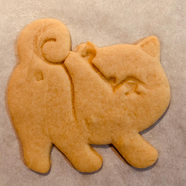 Cute Axlotl Cookie Cutter, Axolotl Gifts, Fondant Clay Cutter, Gift for ...