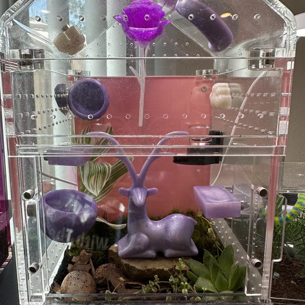 The Original Jumping Spider Water Station Hanging Magnetic Wicking ...