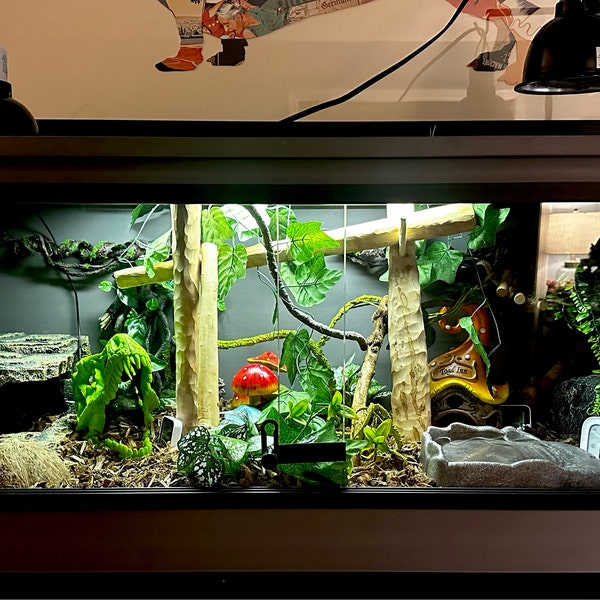 Ball Python Custom Name Decal | Pied Ball Python - Etsy