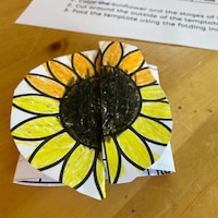 Life Cycle of a Bean Plant Foldable Kids' Craft Science Activity | A4 ...