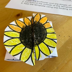 Life Cycle of a Watermelon Plant Foldable Kids' Craft A4 and 11x8.5 ...