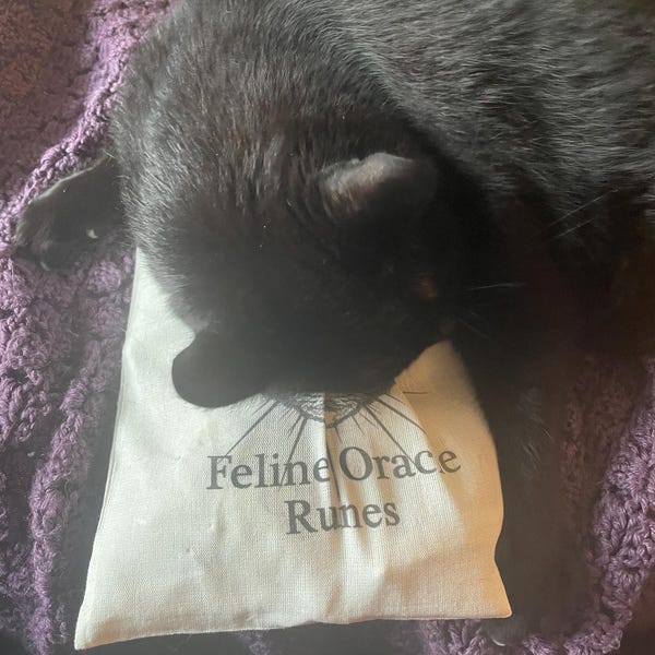 Feline Oracle Catnip Runes Cat Divination Set - Etsy