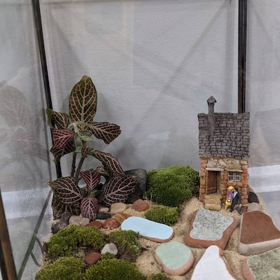 Moss Terrarium wee Ireland - Etsy