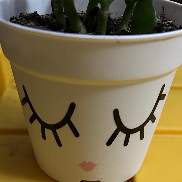 Face Decal for Flower Pot - Vinyl Decal - Flower Pot Sticker ...