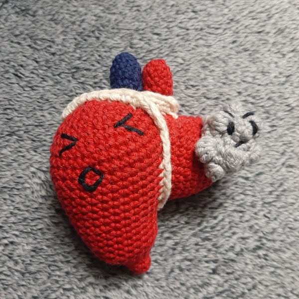 Crochet Anatomical Liver Pattern - Anatomy Learning Tool (PDF Pattern ...