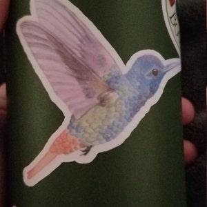 Watercolor Hummingbird Sticker, Hummingbird Decal, Waterproof Vinyl ...