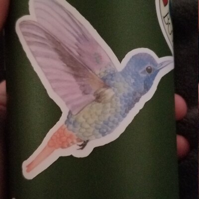 Watercolor Hummingbird Sticker, Hummingbird Decal, Waterproof Vinyl ...