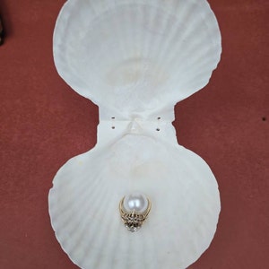 Proposal Seashell Ring Box/seashell Wedding Ring Box/shell Engagement Ring Box/proposal Ring Box ...