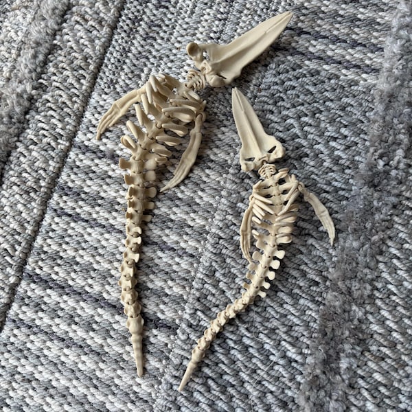 Model Whale Skeleton Aquarium Decoration - Etsy