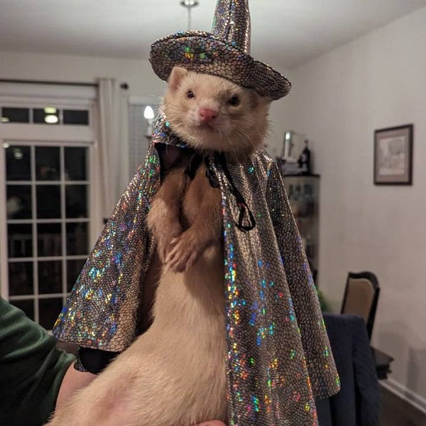 Wizard Ferret Costume: Holiday Ferret Hat and Cape - Etsy