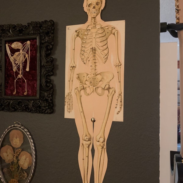 Juniata Park Map, Northeast Philadelphia Map, Fairhill Map, Original ...