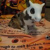 Cubone Dog Mask / Dinosaur Mask / Dog Costume / Funny Dog Gift / 3D ...