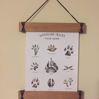 Woodland Field Guide Print, Animal Tracks and Tails, Forest Field Guide ...