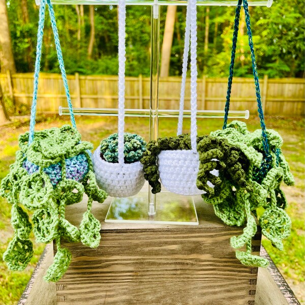 Drooping Montera Flower Crochet Pattern, Plant Crochet Pattern, Hanging ...