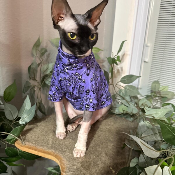 Sphynx Cat Shirt Sphynx Cat Clothes Hairless Cat Clothes Sphynx Cat ...