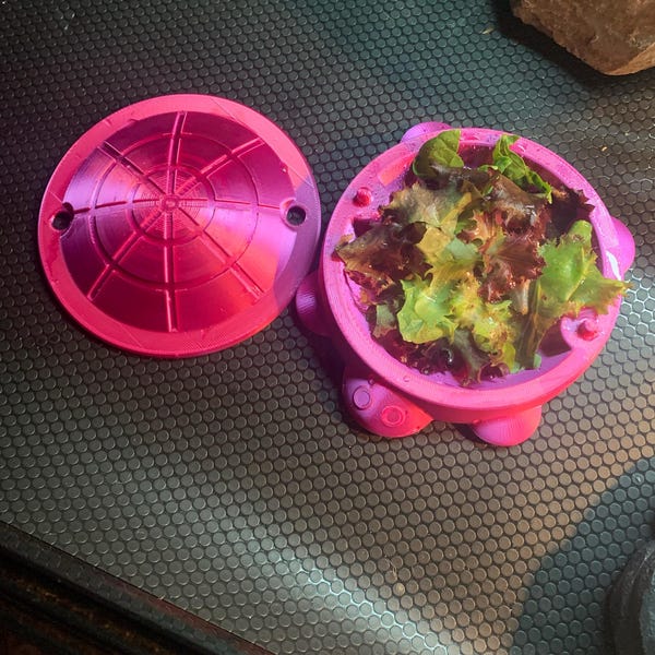3D Printed Turtle Sandbox With Lid, Desk Organizer, Reptile Feeder - Etsy