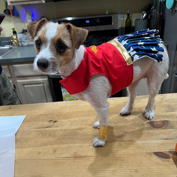 Dog Show Training Stack Box Toy Adult Size Stack Training 20" X 12 ...