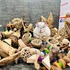 Ultimate Chew Toy Collection. Whimsy's Menagerie Original Design Chew ...