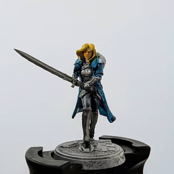 D&D Human Fighter/paladin | Standard Bearer | 3D Printed Resin ...