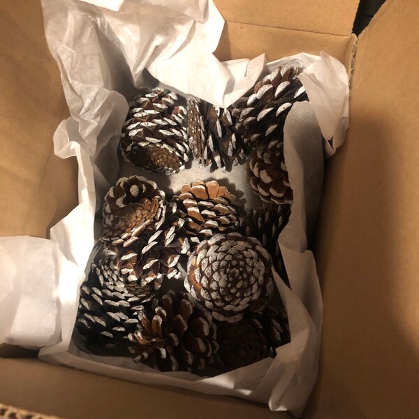 Large Paper Mache Boxes, Gift Wrap, Containers, Ready to Decorate ...