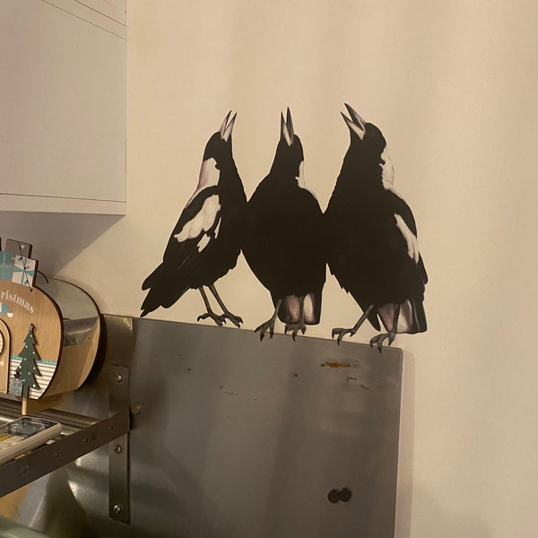 Warbling Magpies Decal, Australian Trio Magpies Sticker, Bird Lover ...