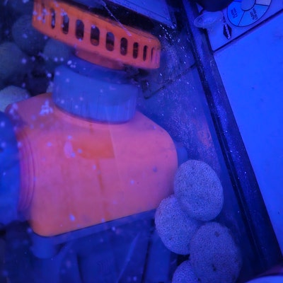 Optical Sensor Mount for Neptune Apex PMUP V2 ATO Pump - Etsy