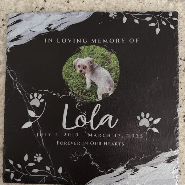 Personalized Pet Memory Box, Urn Keepsake, Pet Memorial Box, Pet ...