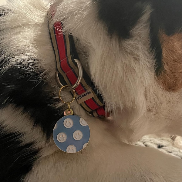 Custom Pet Tags, Blue Smiley Face Dog Tag, Dog Name Tag, Pet ID Tag ...