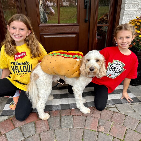 Bam Bam Cut Files and Pattern | Cricut | Silhouette Cameo | Svg Cut ...