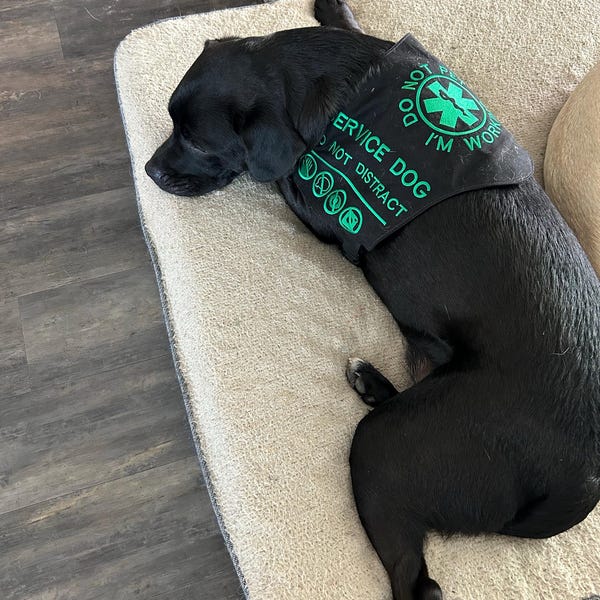 Dog Leash Wrap, Dog Leash Sleeve, Dog Leash, Dog Gear, Custom ...