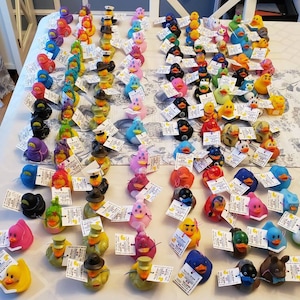 Duck Tags Customized With YOUR Personal Info RCL NCL Princess Celebrity ...