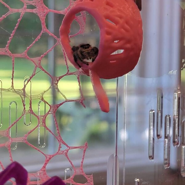 3D Printed JC Original Magnetic Staircase With Banister Jumping Spider ...