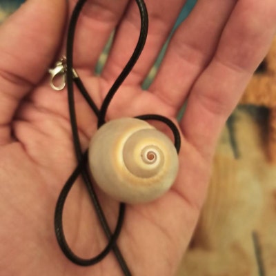 Shark Eye Shell Mermaid Necklace. Seashell Necklace. Shell Jewelry ...
