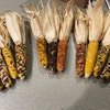 Mini Indian Corn Wreath KIT: Make Your Own Choose From a 14, 12 or 10 ...