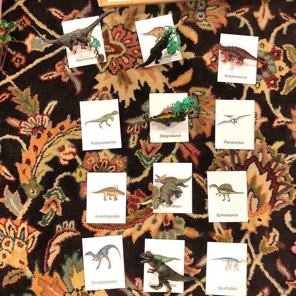DINOSAURS • Montessori Cards • Flash Cards • Three Part Cards ...