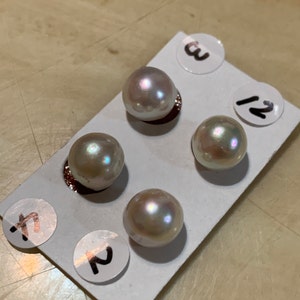 16.9x14.0mm Natural Deep Sea Angel Skin Color Coral Oval | Etsy