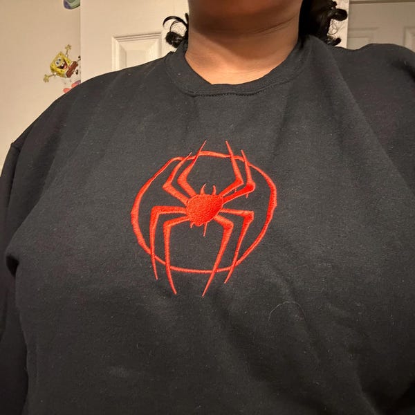 Cute Spider Embroidered Matching Crewnecks, Hoodie/tee, FREE SHIPPING ...