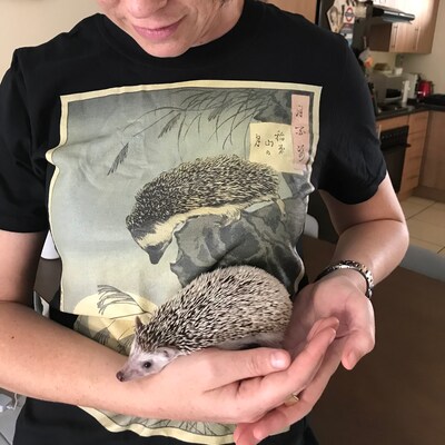 Funny Pug Shirt: Pugzilla Short-sleeve T-shirt - Etsy