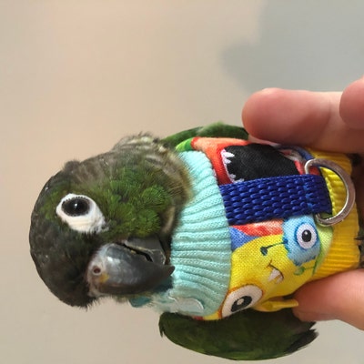 Phantom HARNESS JACKET Parrot Hoody Bird/parrot Clothing, Bespoke ...