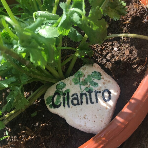 Stone Garden Markers Garden Signs Herb Markers Plant Marker Custom ...