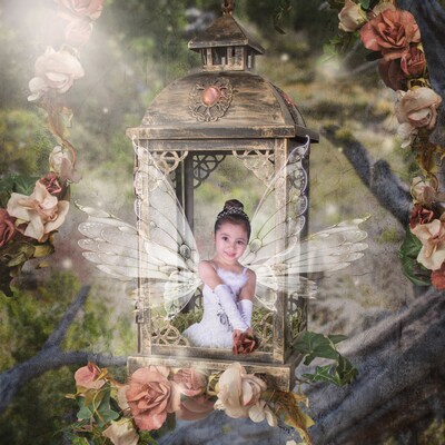 Light Fairy Digital Background or Digital Backdrop Fantasy - Etsy