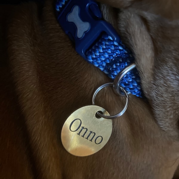 Deeply Engraved and Painted Solid Polished Brass Dog Tag, 29mm Round ...