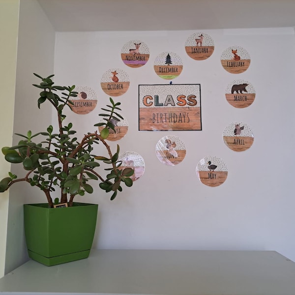 Woodland Class Birthday Display - Etsy
