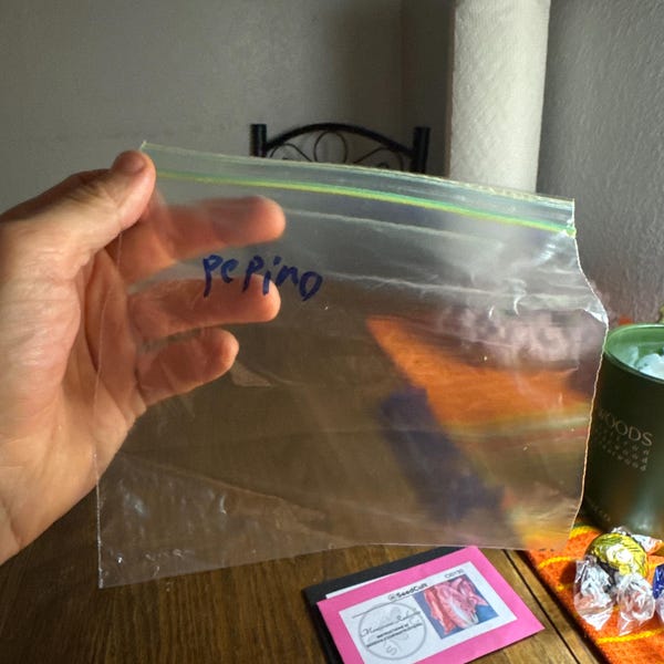 Alligator Pepper Seeds - Etsy