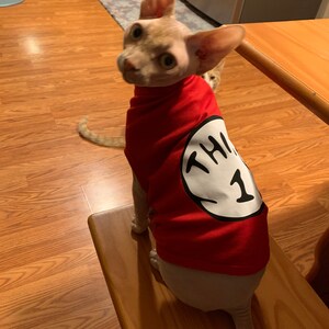 Matching Cat Tank Tops Funny Matching Cat Shirts Matching - Etsy