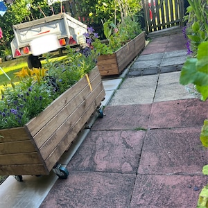 Charles Taylor 3 Piece Wooden Veg Trough Planter Set. - Etsy UK